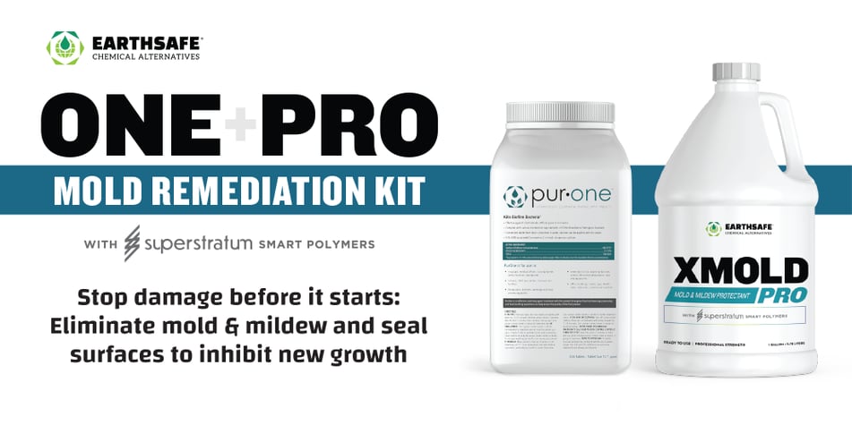 EvaClean Insights Monthly Newsletter 2022